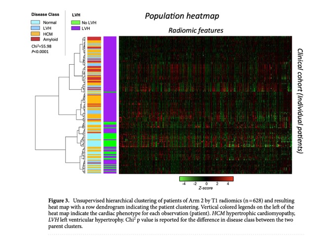 Paper Review - Machine learning of native T1 mapping radiomics for classification of ...